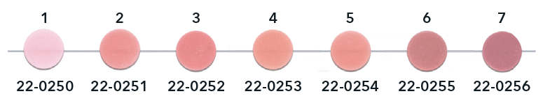 Cerâmica Insync Gingival 20g - cores de gengiva