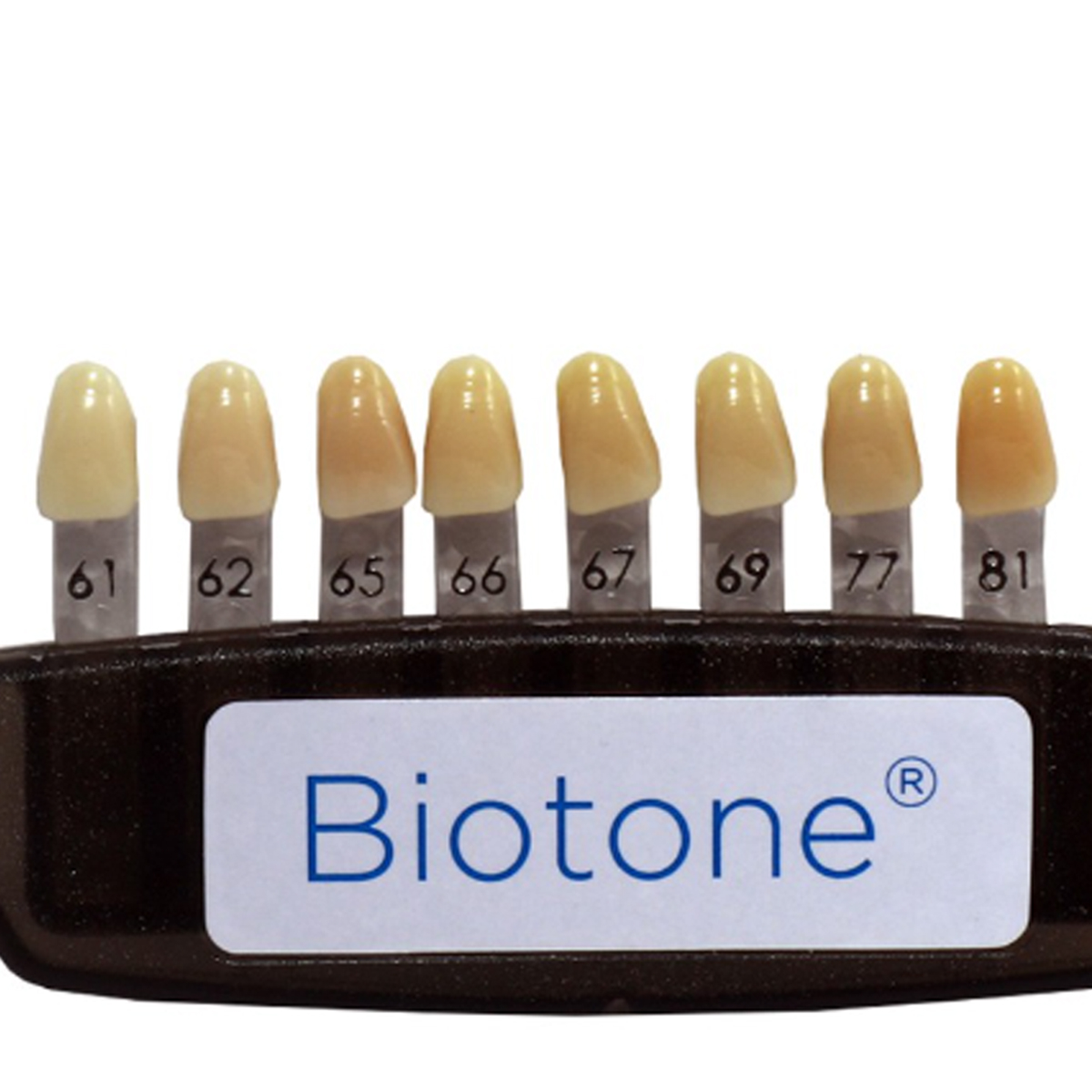 ESCALA DE CORES BIOTONE 8 CORES