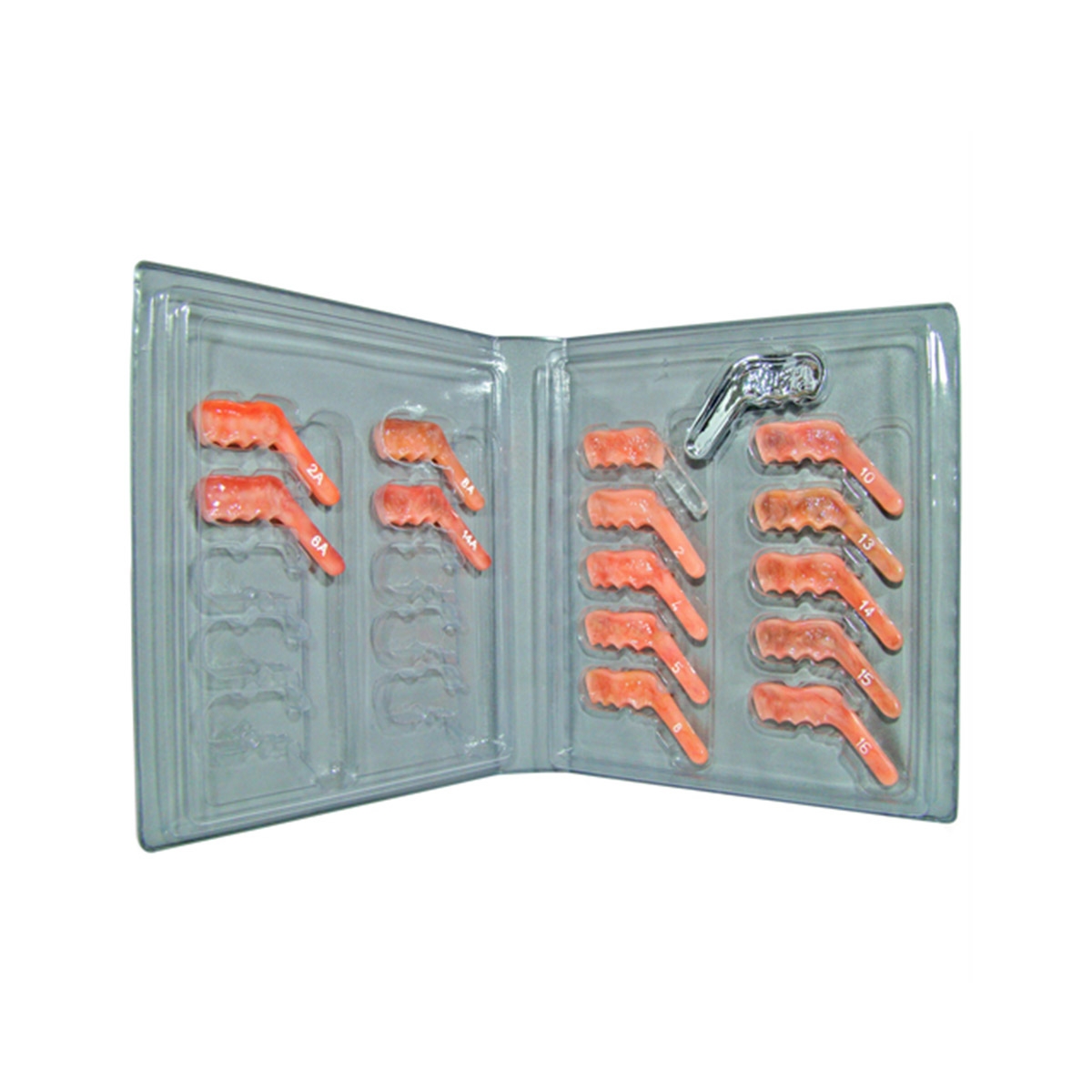 Escala de Gengivas Vipi STG